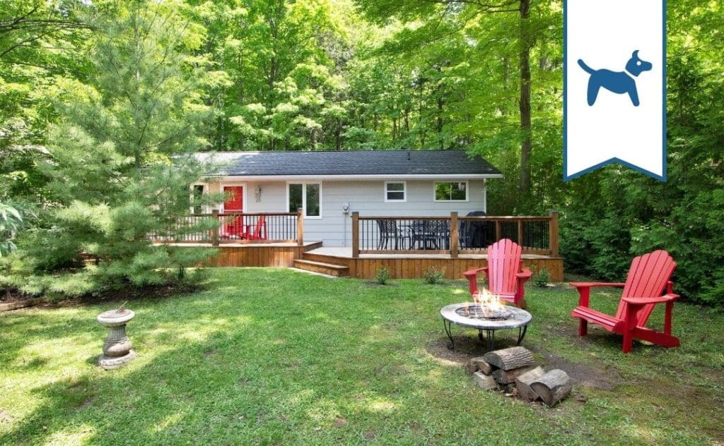 Pet Friendly Cottage Rentals In Southern Ontario